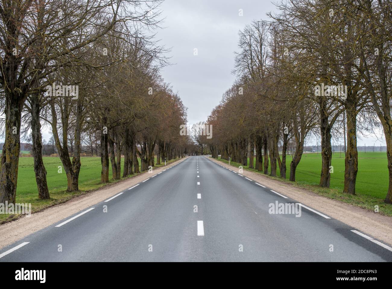 Asphalt wavy road in autumn misty countryside landscape Stock Photo - Alamy