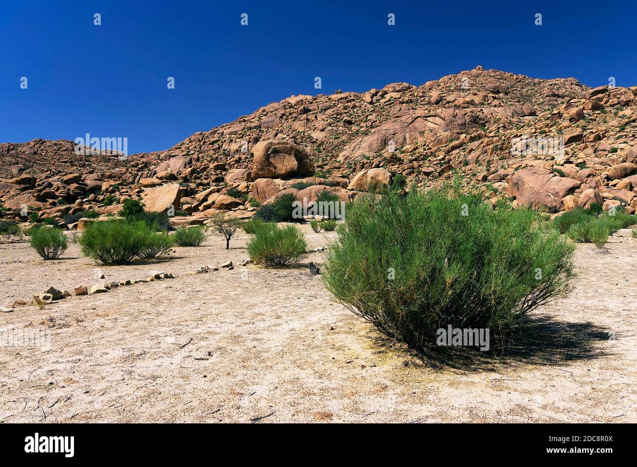 Alpine landscape of Atlas Mountains, South Morocco, Africa Stock Photo ...