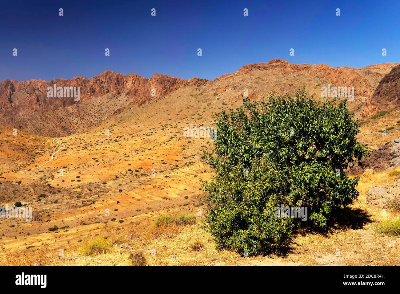 Alpine landscape of Atlas Mountains, South Morocco, Africa Stock Photo ...