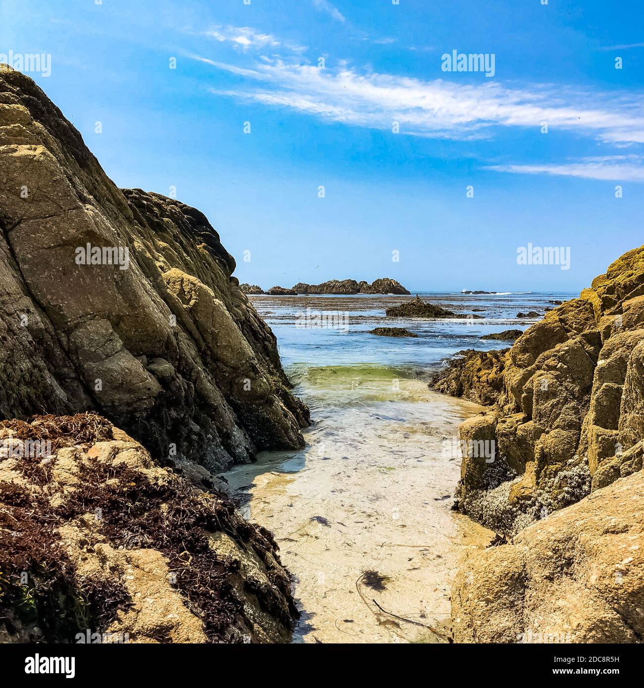 Views at 17 mile drive near Pebble Beach - Pebble Beach, California ...