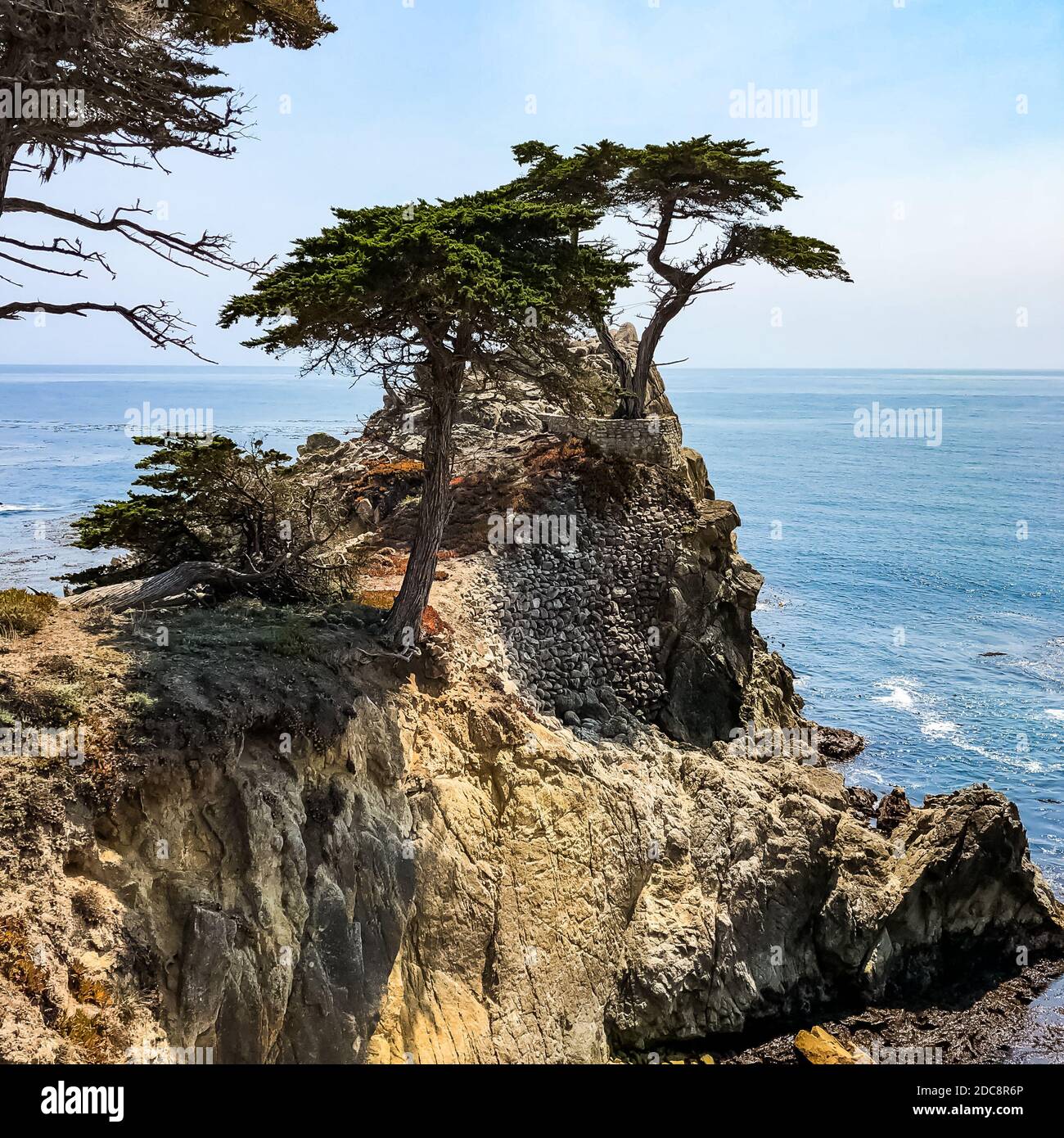 The Lone Cypress is a Monterey cypress tree in Pebble Beach, California ...