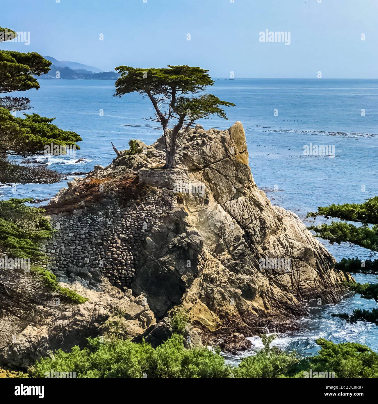 The Lone Cypress is a Monterey cypress tree in Pebble Beach, California ...