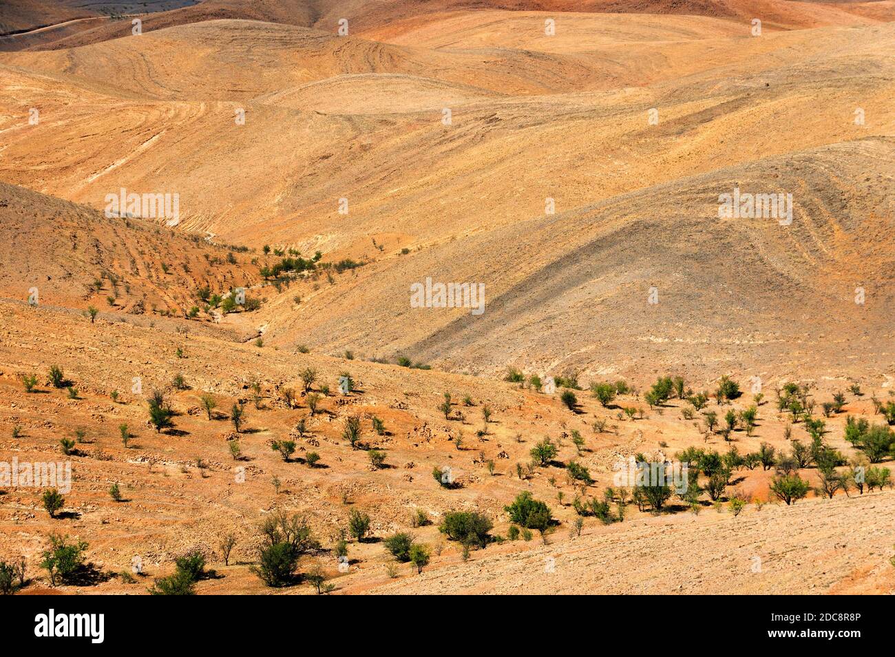 Alpine landscape of Atlas Mountains, South Morocco, Africa Stock Photo ...