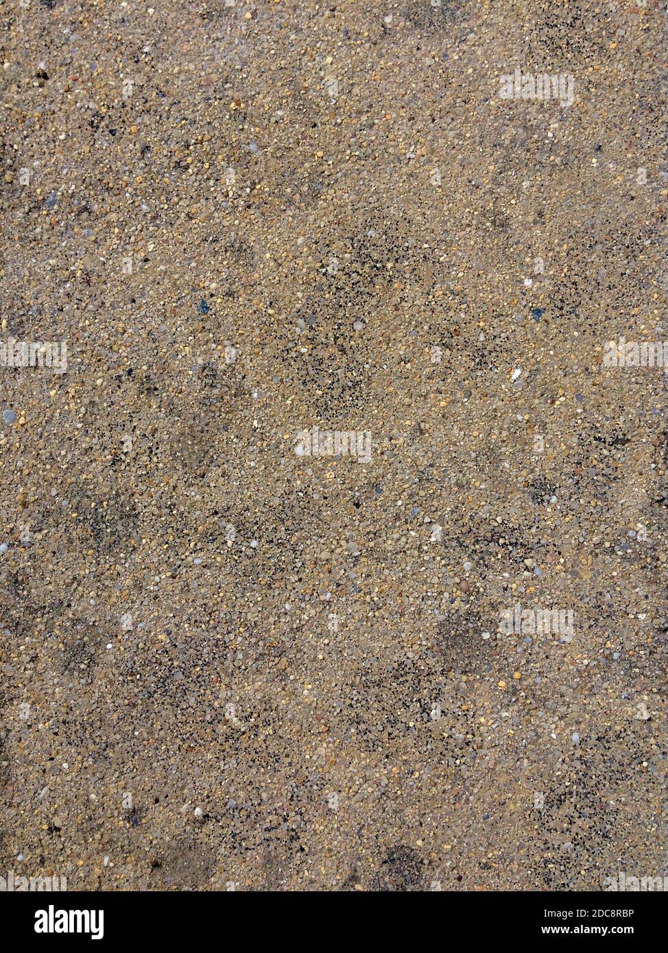 Cement Slab Texture