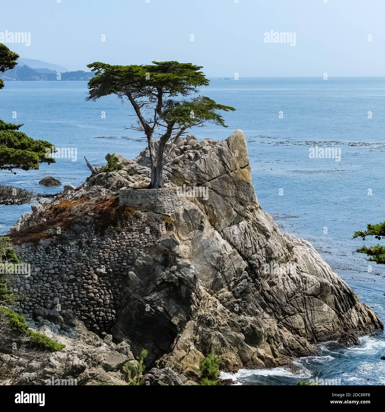 The Lone Cypress is a Monterey cypress tree in Pebble Beach, California ...