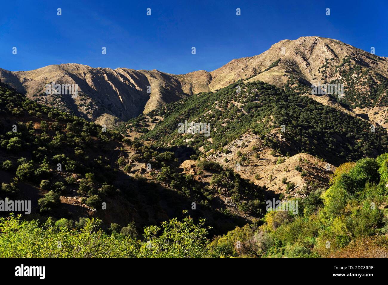 Alpine landscape of Atlas Mountains, South Morocco, Africa Stock Photo ...