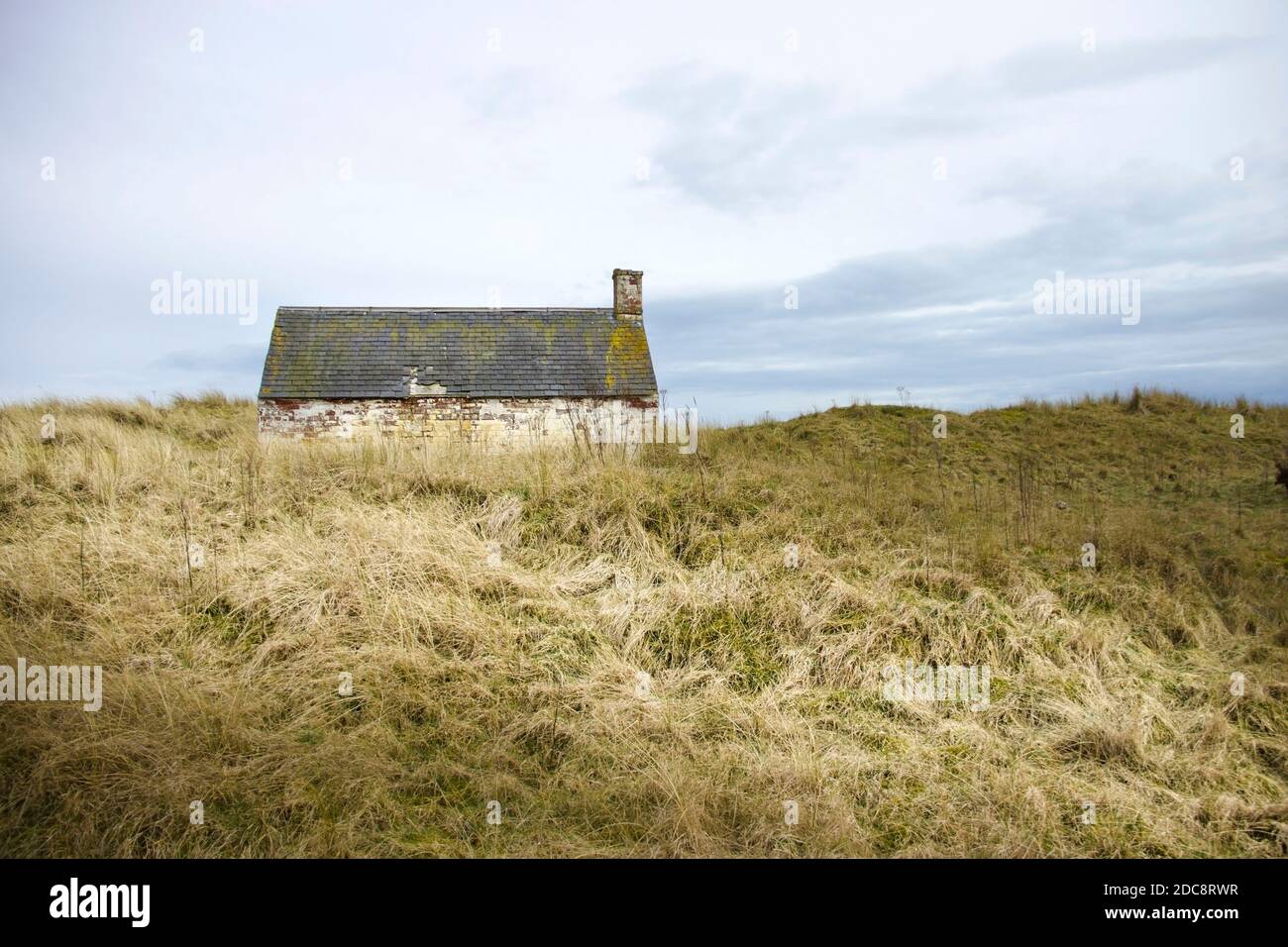 St Cyrus Beach. Aberdeenshire, Scotland, UK Stock Photo - Alamy
