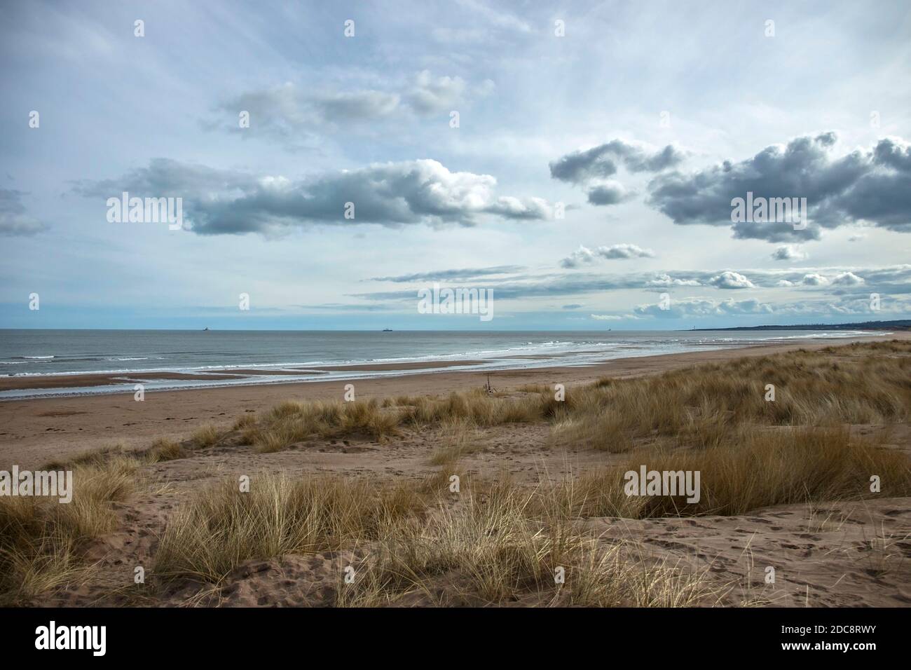 St Cyrus Beach. Aberdeenshire, Scotland, UK Stock Photo - Alamy