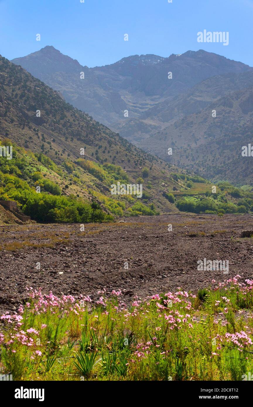 Alpine landscape of Atlas Mountains, South Morocco, Africa Stock Photo ...