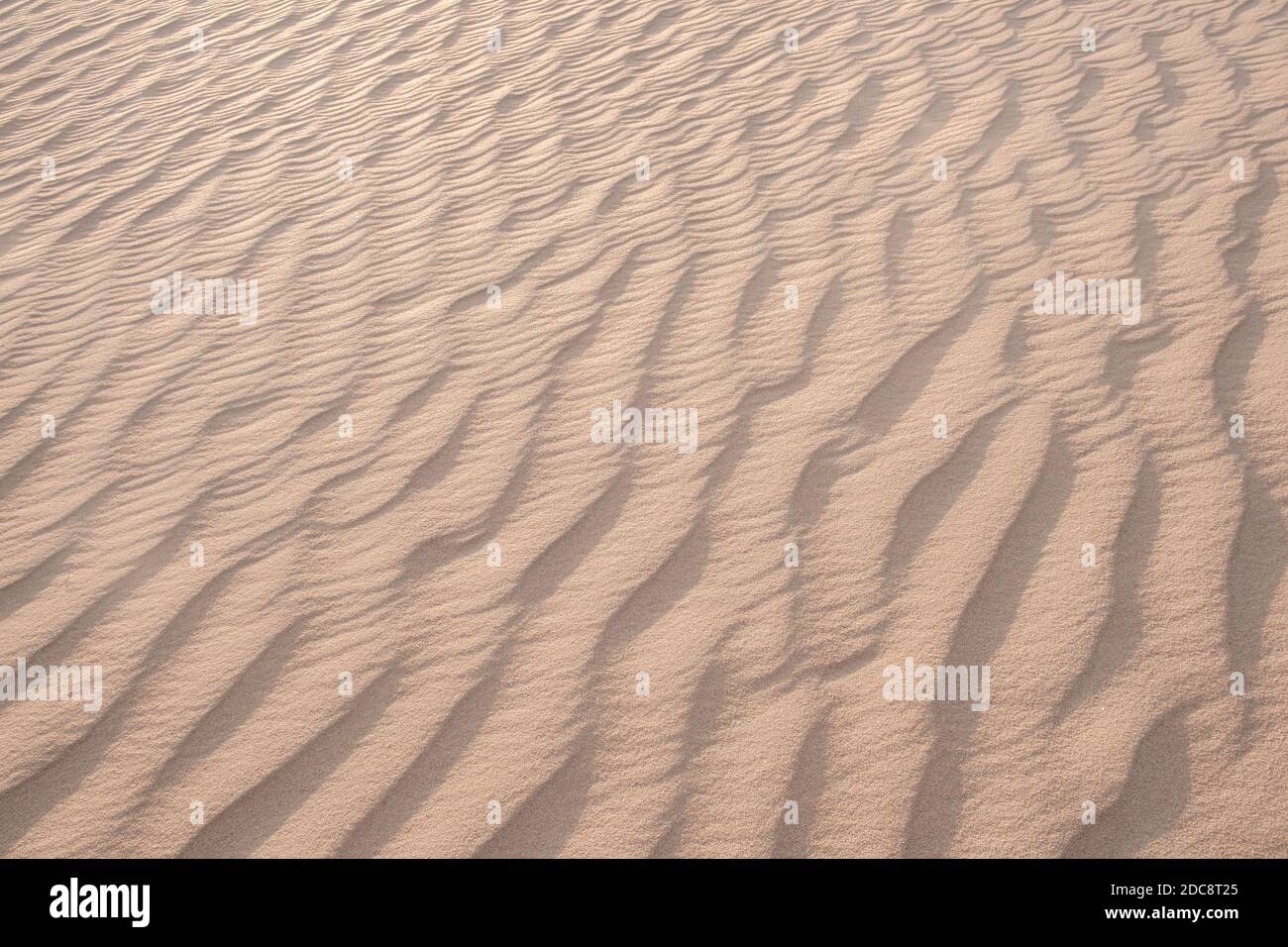 Golden desert sand texture as background Stock Photo - Alamy