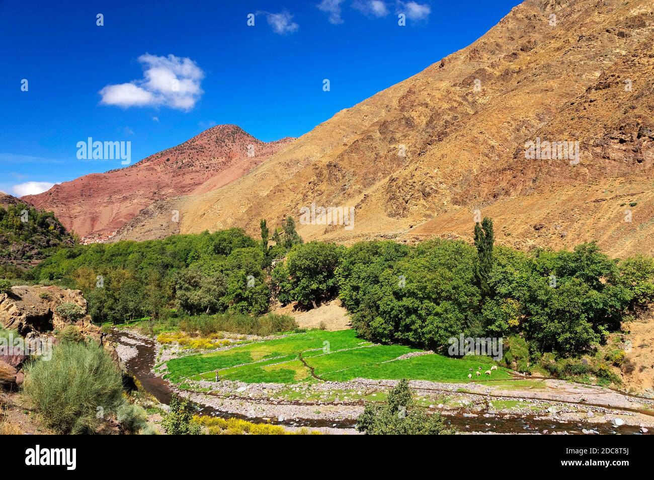 Alpine landscape of Atlas Mountains, South Morocco, Africa Stock Photo ...