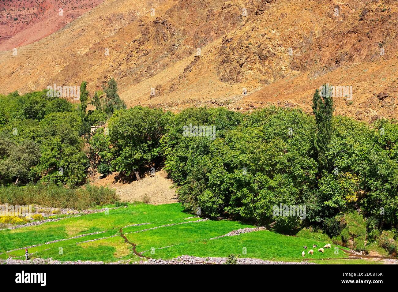 Alpine landscape of Atlas Mountains, South Morocco, Africa Stock Photo ...