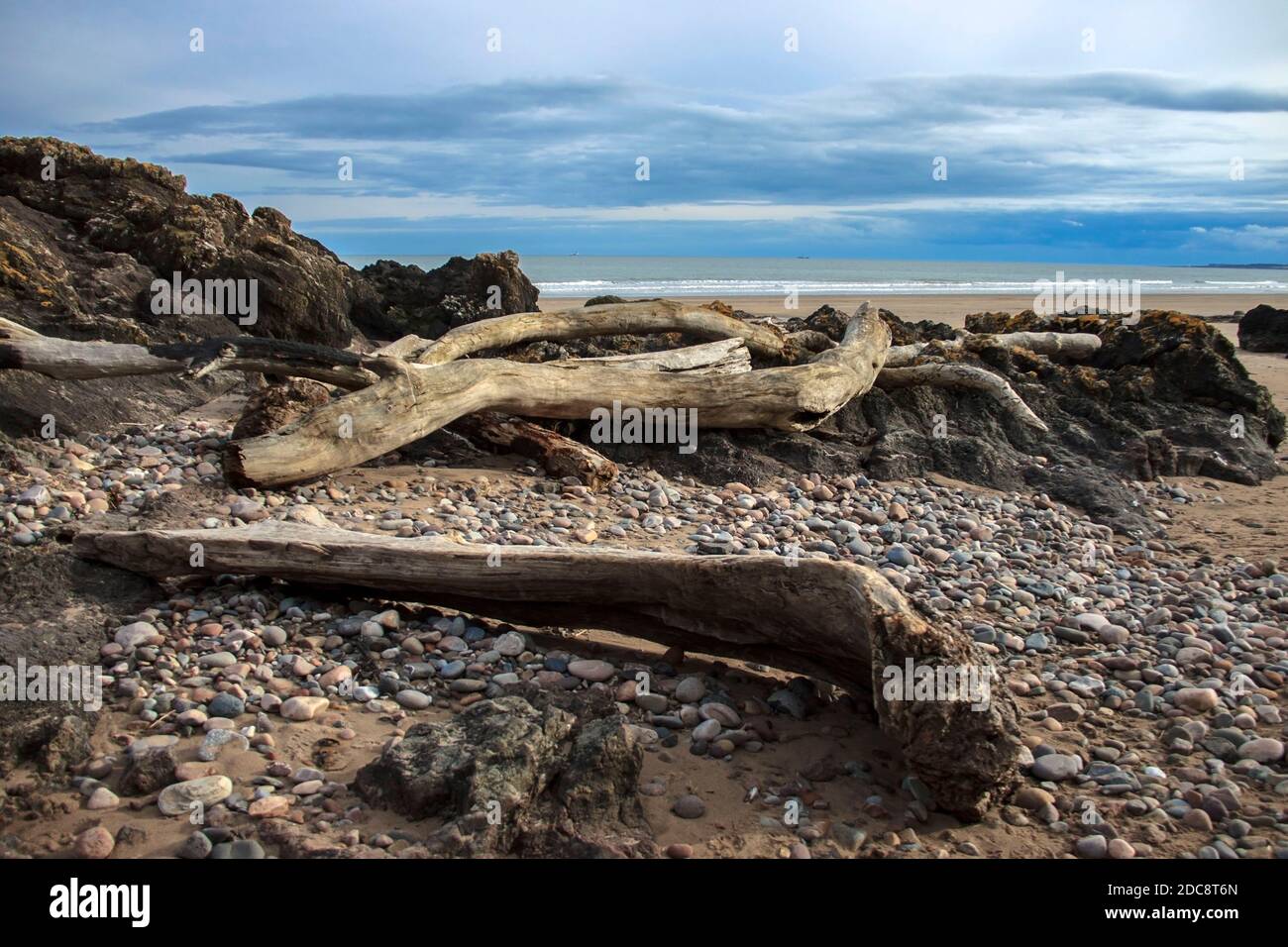 St Cyrus Beach. Aberdeenshire, Scotland, UK Stock Photo - Alamy