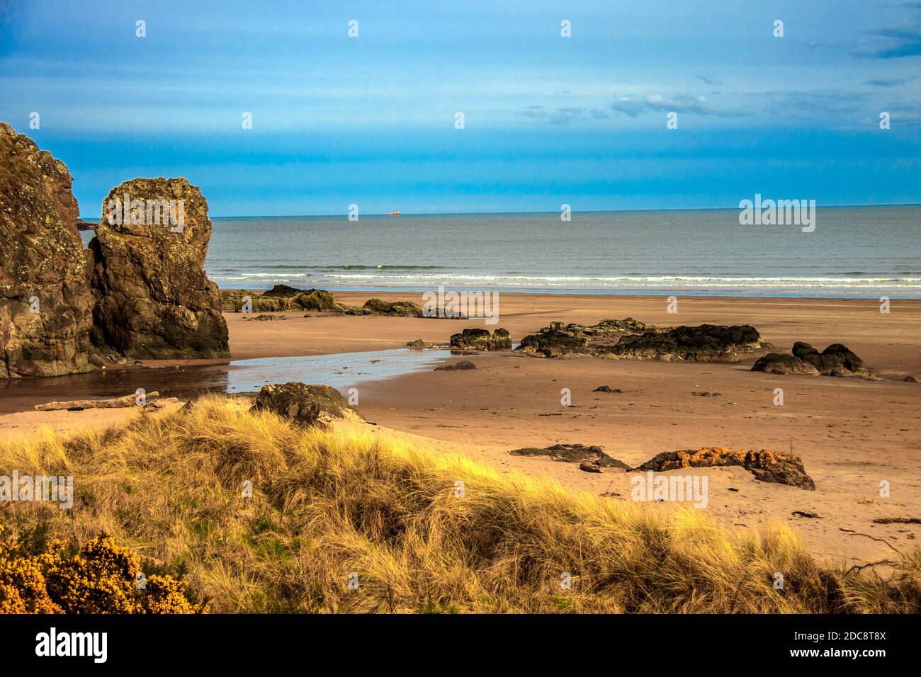 St Cyrus Beach. Aberdeenshire, Scotland, UK Stock Photo - Alamy