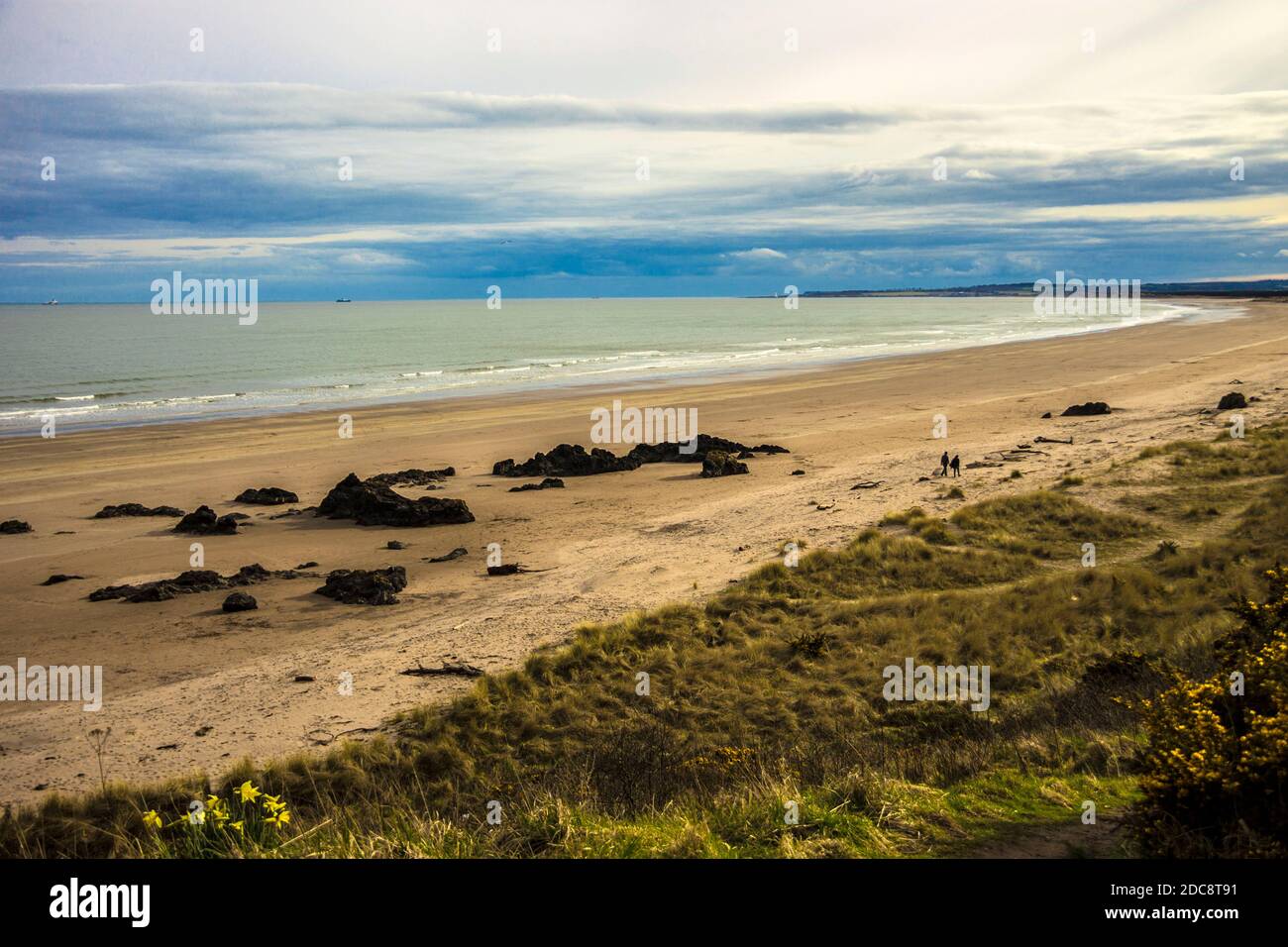 St Cyrus Beach. Aberdeenshire, Scotland, UK Stock Photo - Alamy