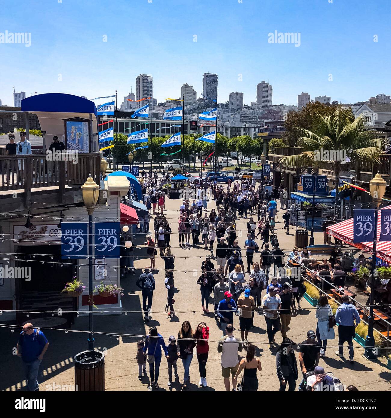 San Francisco Pier 39 with sea lions on the piers and people watching ...