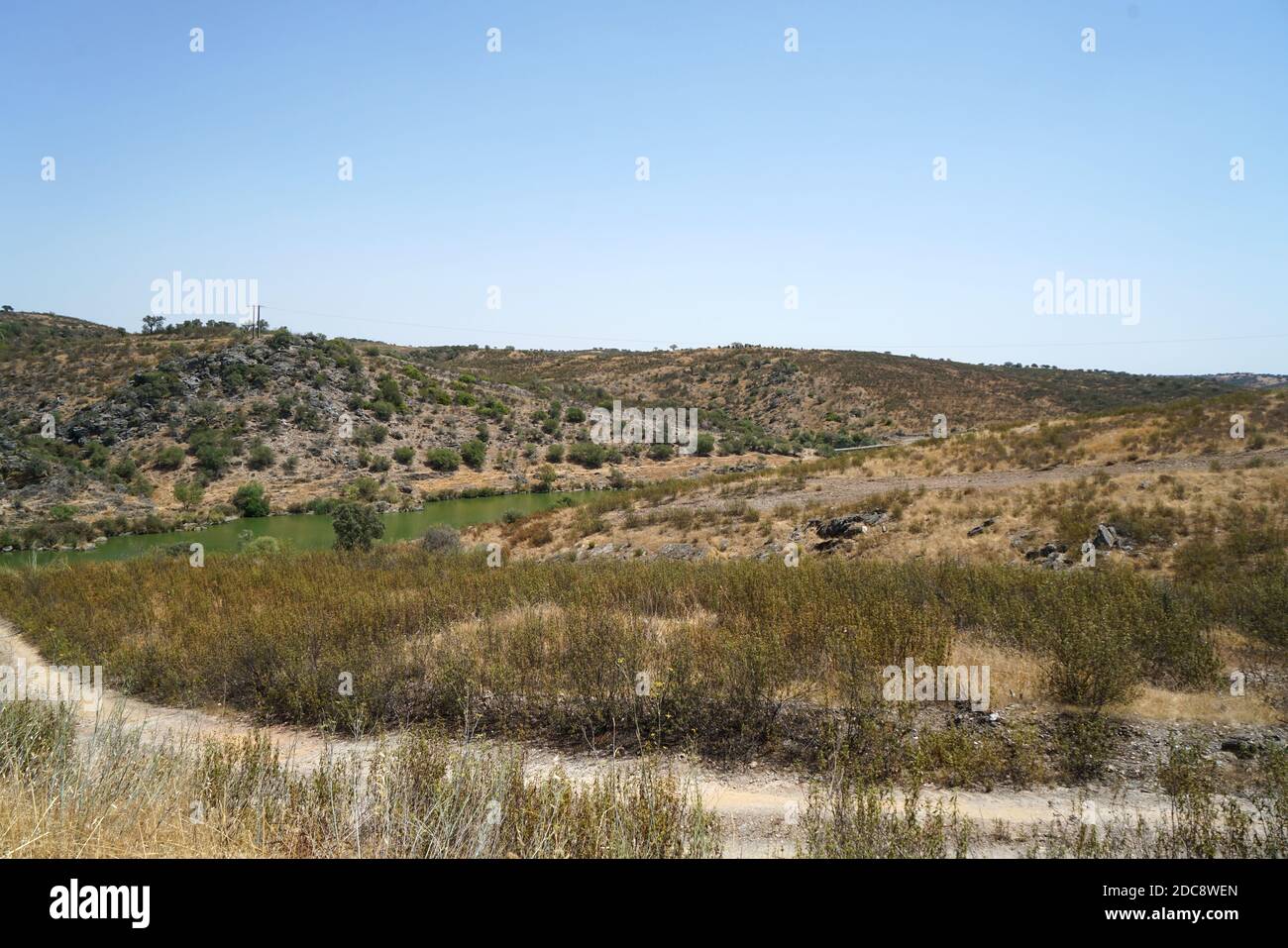 A closeup of a shrub-steppe, a low-rainfall natural grassland Stock ...