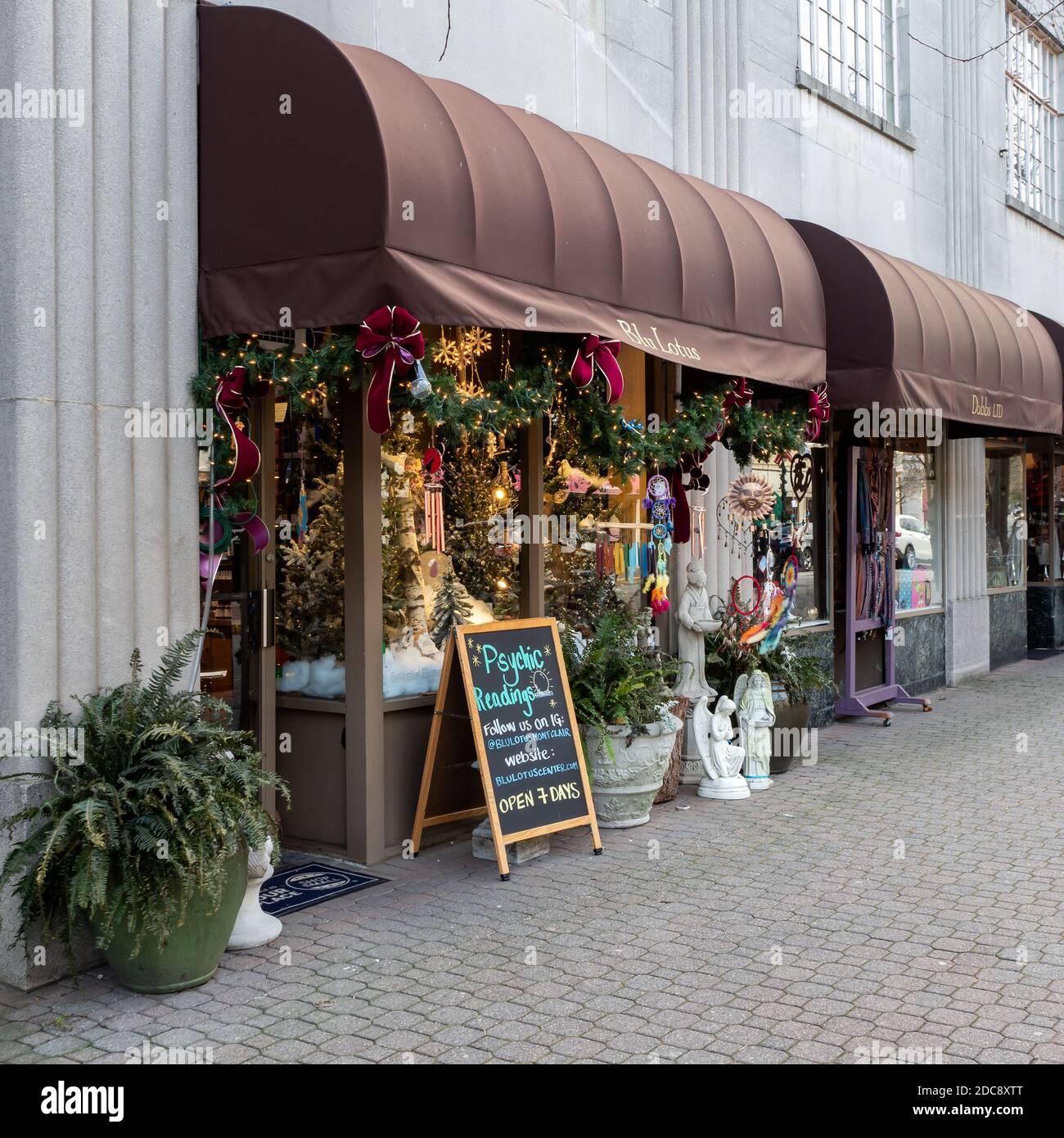 Blu lotus metaphysical boutique hi-res stock photography and images - Alamy