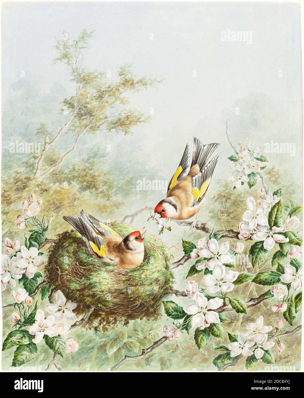 1867 1897 hi-res stock photography and images - Alamy