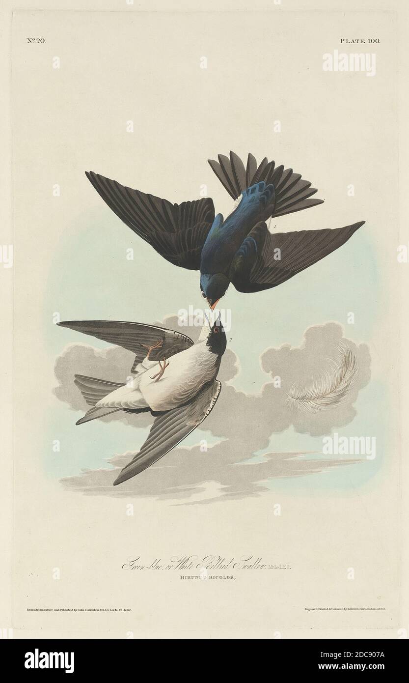 Robert Havell, Jr., (artist), American, born England, 1793 - 1878, John ...