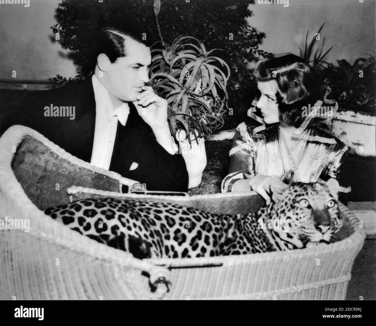 Bringing Up Baby Leopard