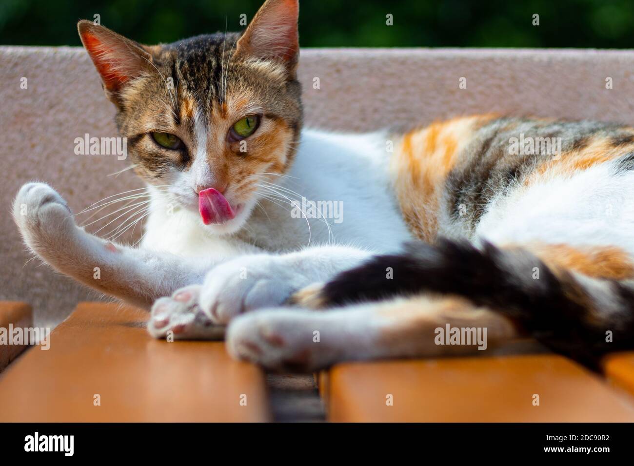 Making a fist hi-res stock photography and images - Alamy