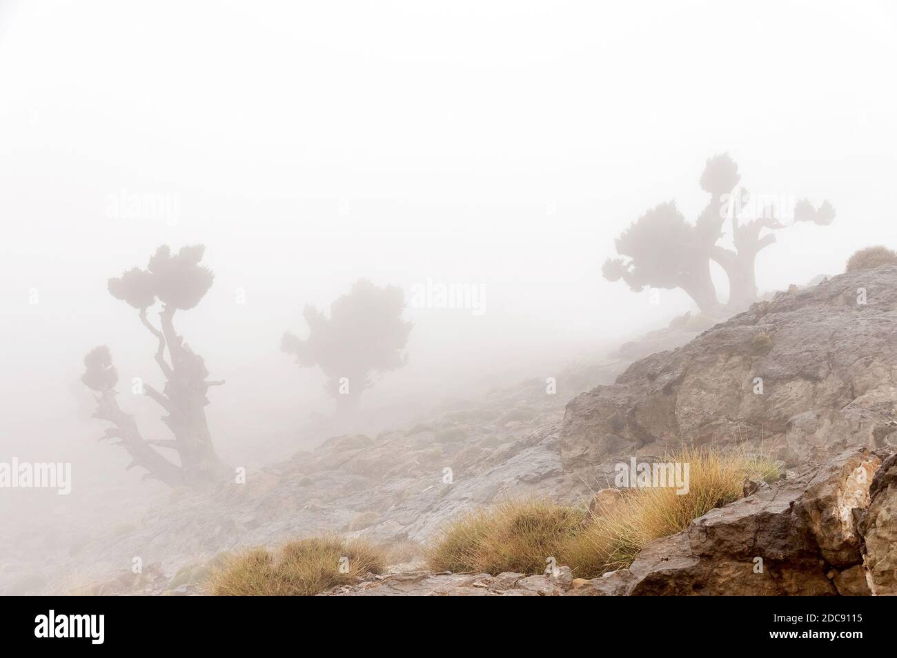 Alpine landscape of Atlas Mountains, South Morocco, Africa Stock Photo ...
