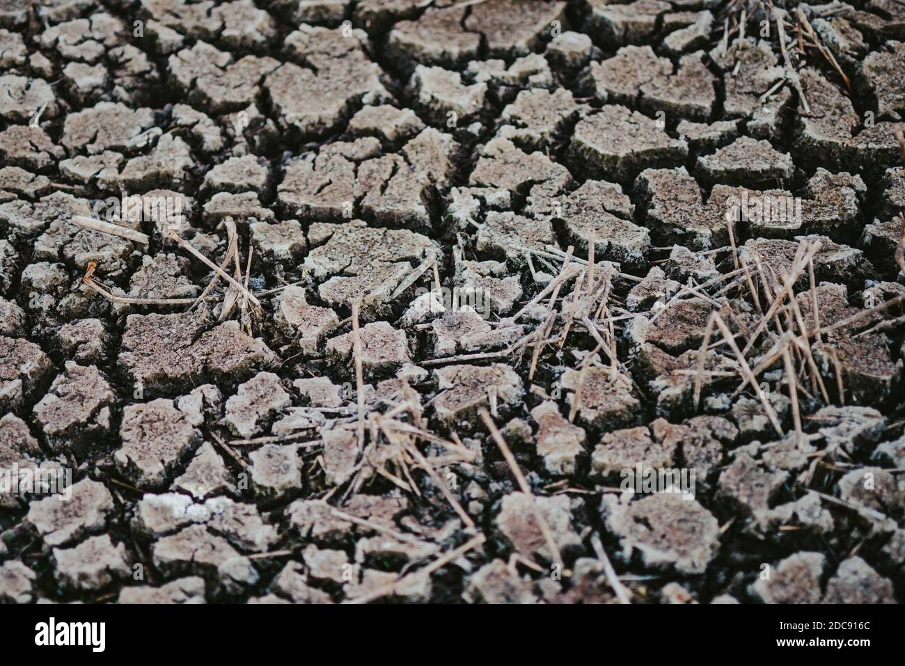 Soil extreme close up background hi-res stock photography and images ...