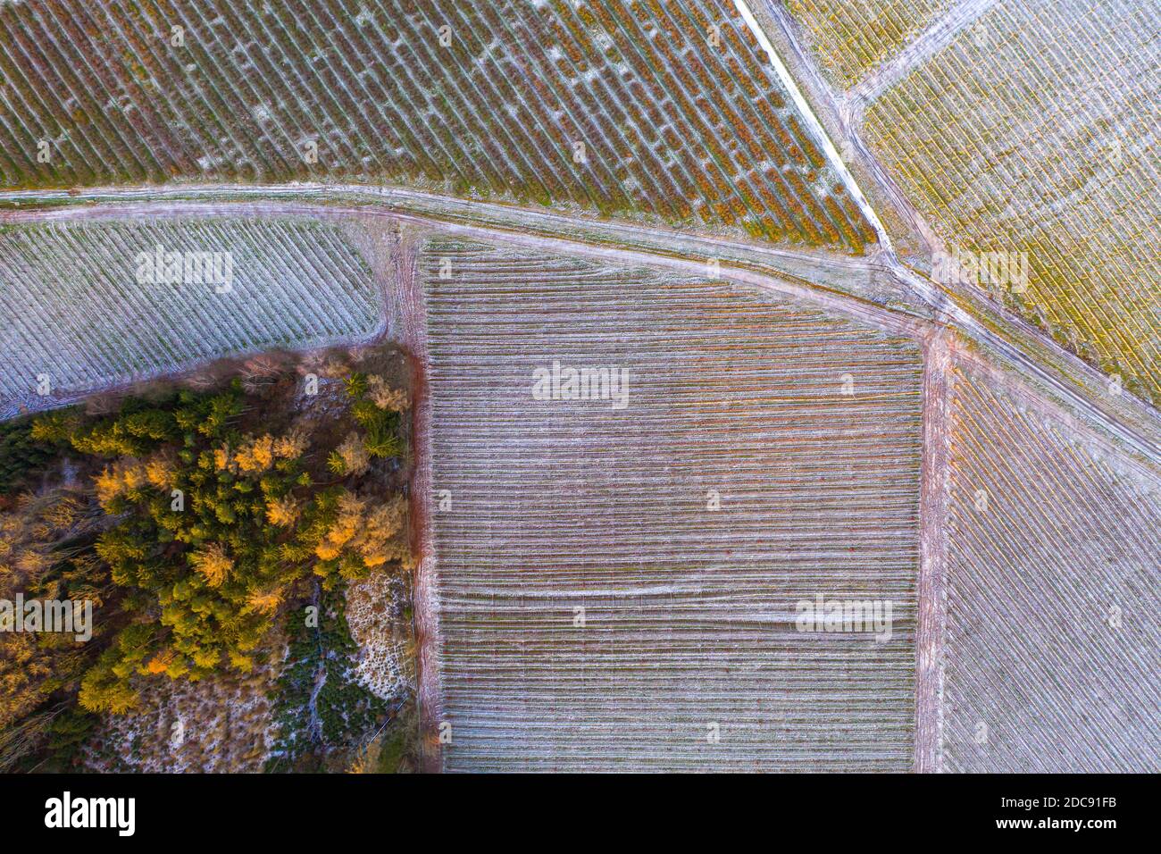 Top view field early hi-res stock photography and images - Alamy