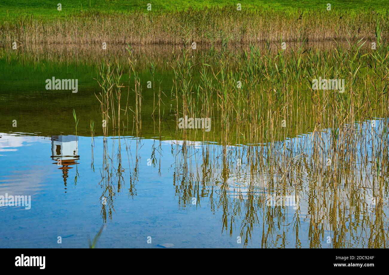 Blue water background shallow hi-res stock photography and images - Alamy