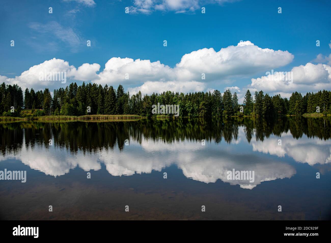 Mirroring and reflections on the water surface in a variety of colors ...