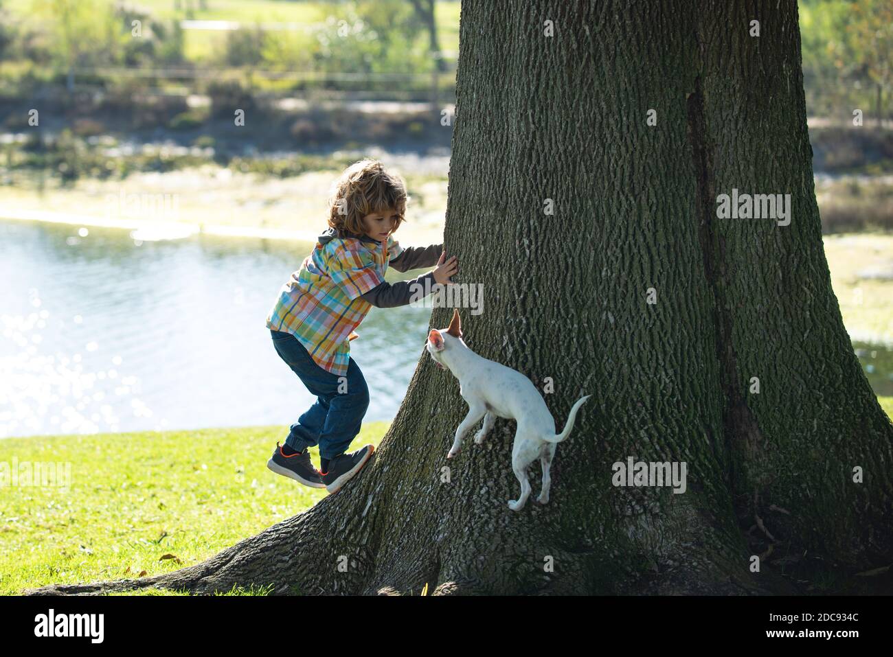 Child with dog climb a tree. Kid boy playing with puppy in a park and ...