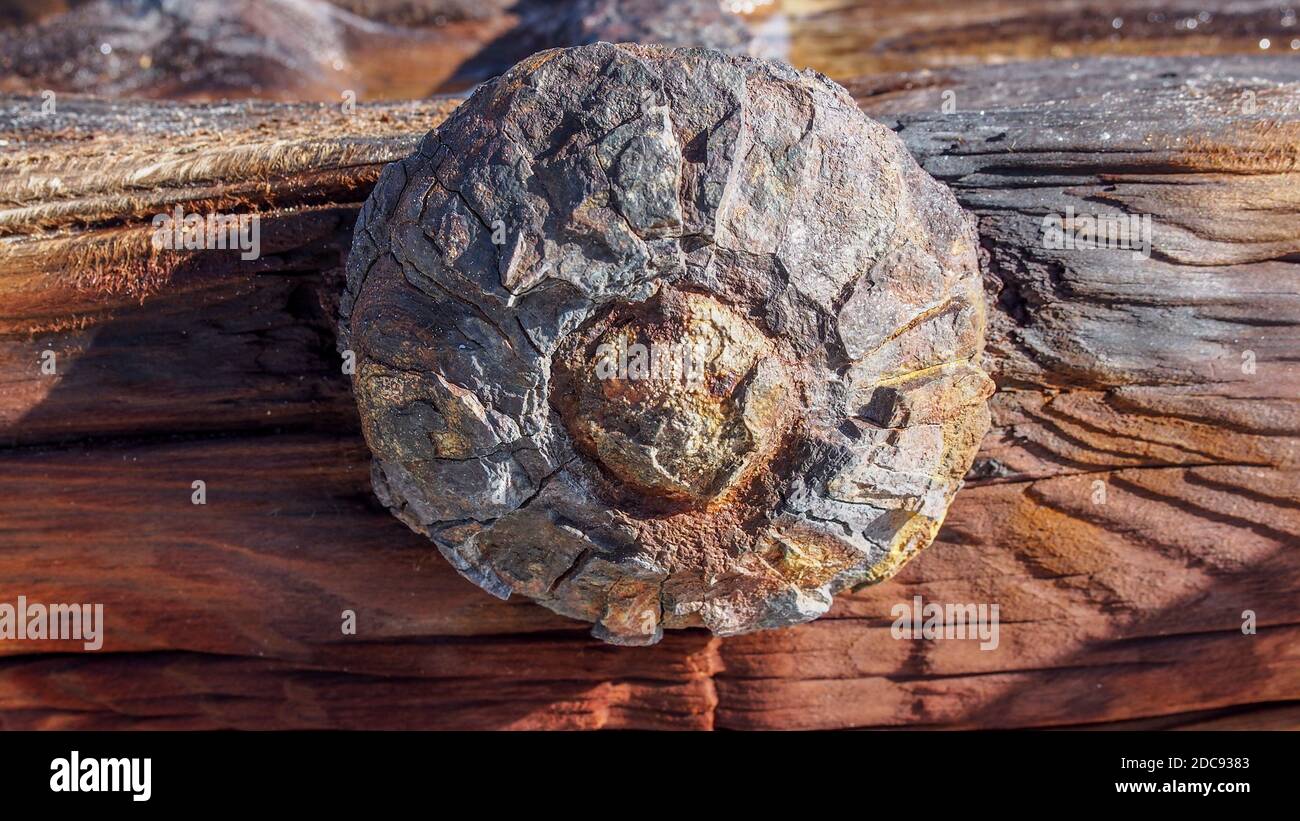 Rusty spikes nailed into weathered old timber dock and pier Stock Photo ...
