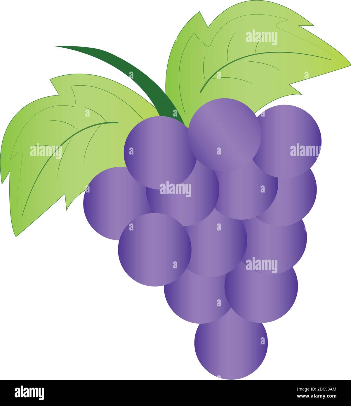 Bunch of grapes Stock Vector Image & Art - Alamy