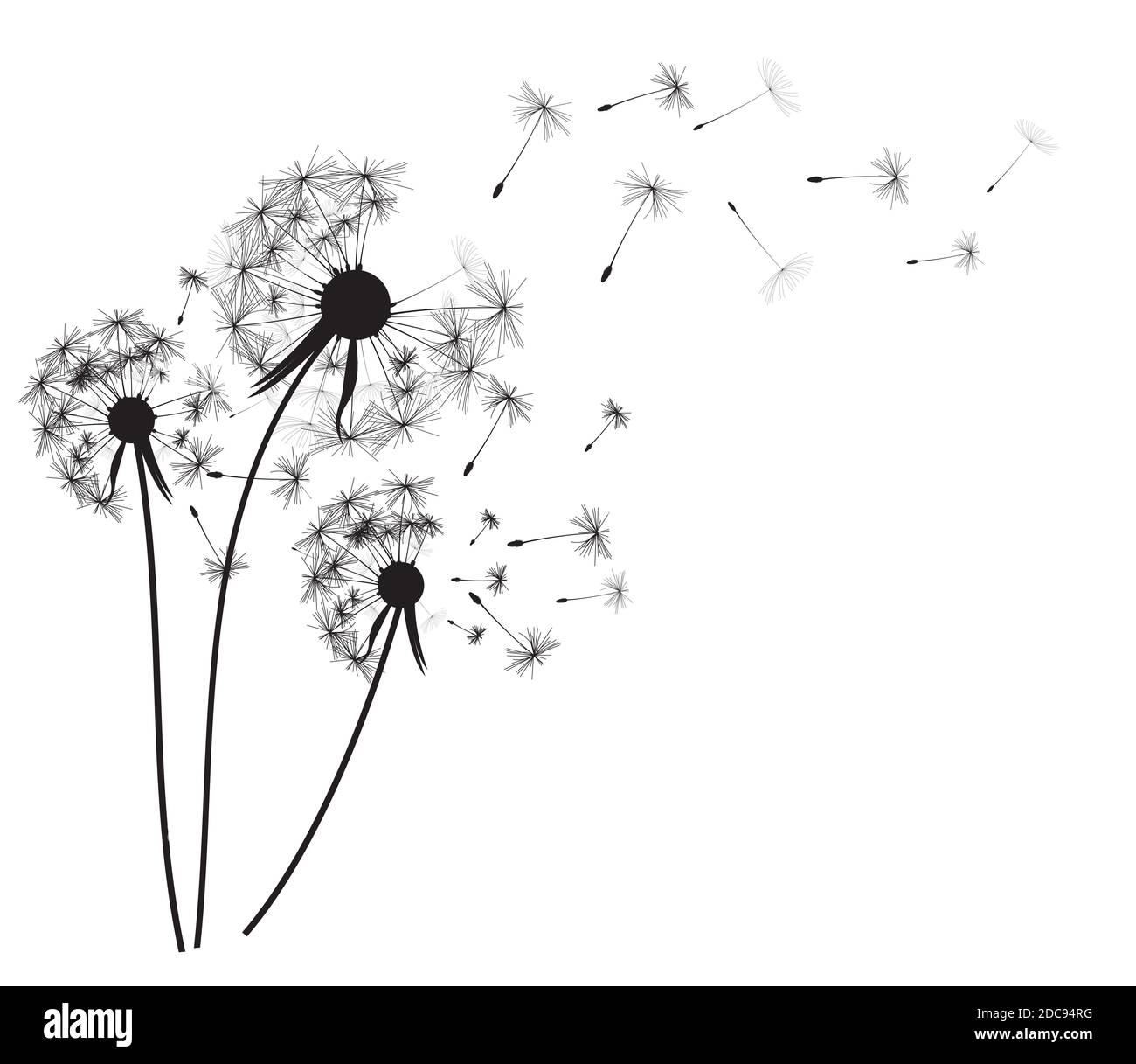 Abstract dandelion background illustration Stock Photo - Alamy