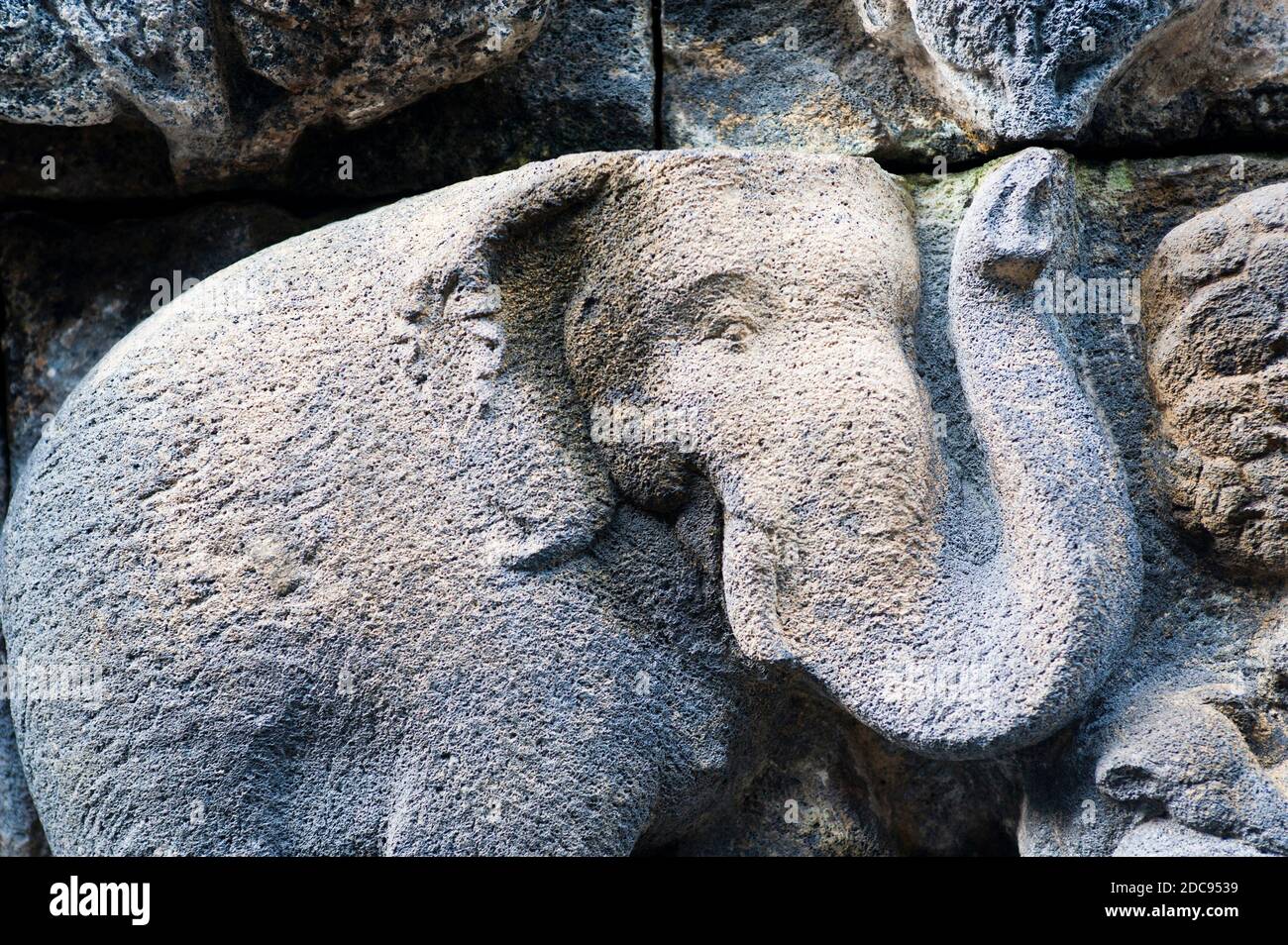 Close Up Photo of an Elephant in the Bas Relief Carvings that Line the ...