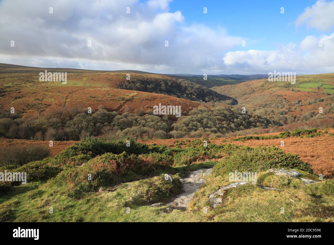 Autumnal view from below Bench tor up the Dart gorge towards Dartmeet ...