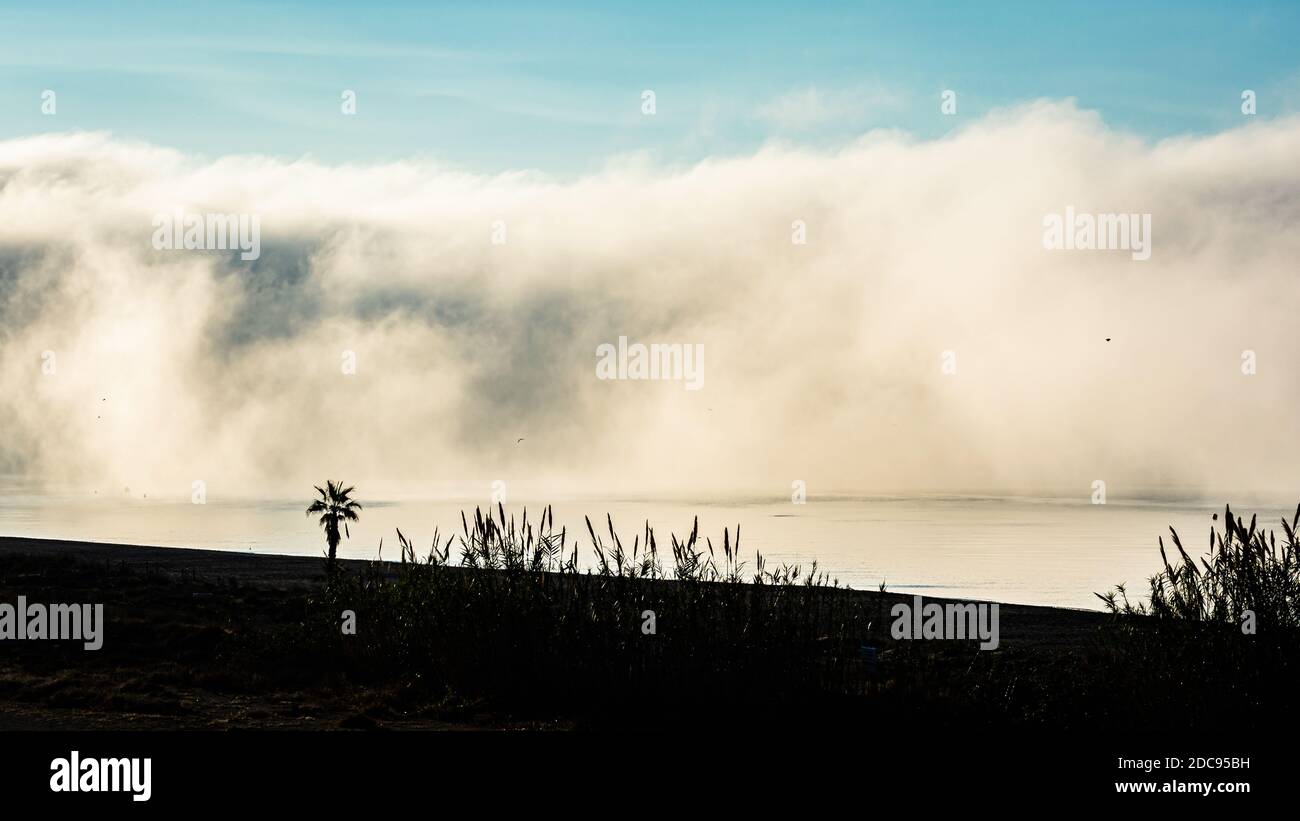 Tropical fog city hi-res stock photography and images - Alamy