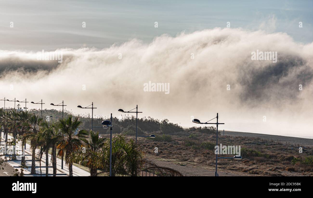 Tropical fog city hi-res stock photography and images - Alamy