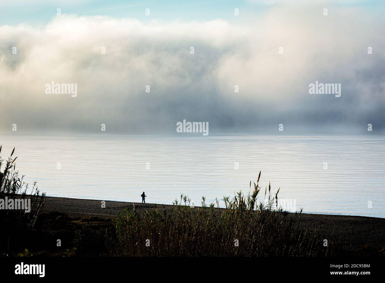 Tropical fog city hi-res stock photography and images - Alamy
