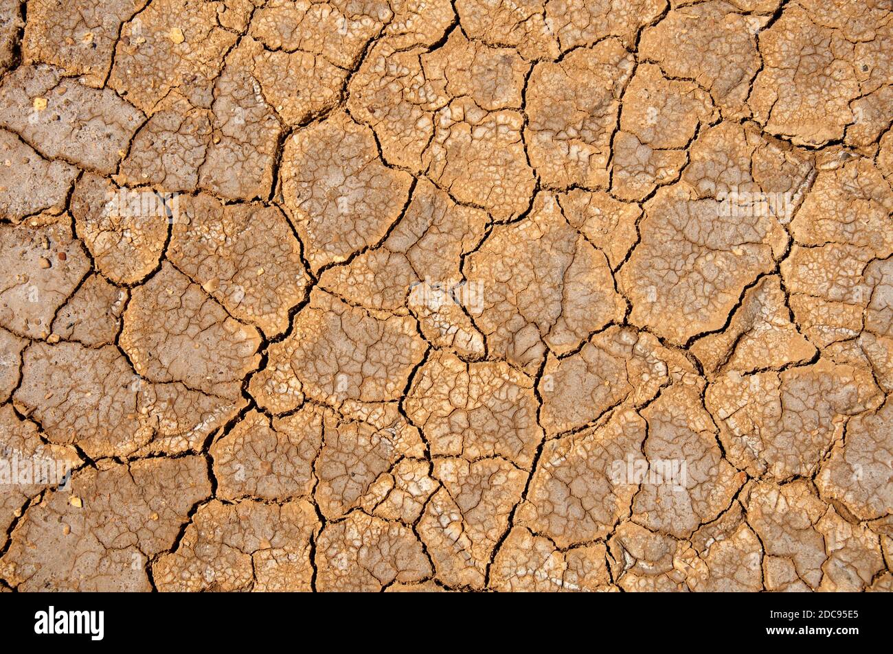 Arid Soil In The World