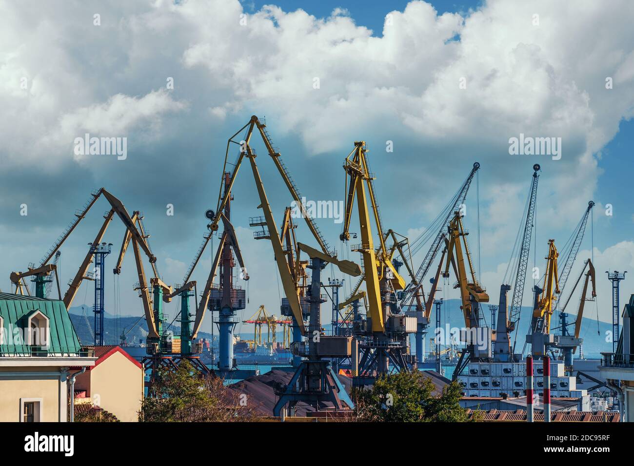 Industrial cranes in commercial seaport and docks for logistics and ...