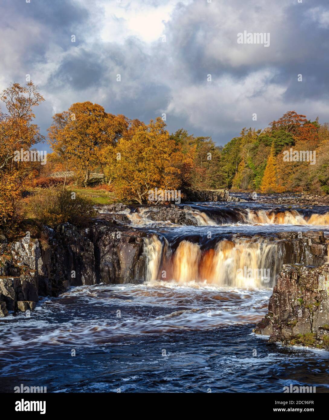Autumn trees by low force waterfall hi-res stock photography and images ...