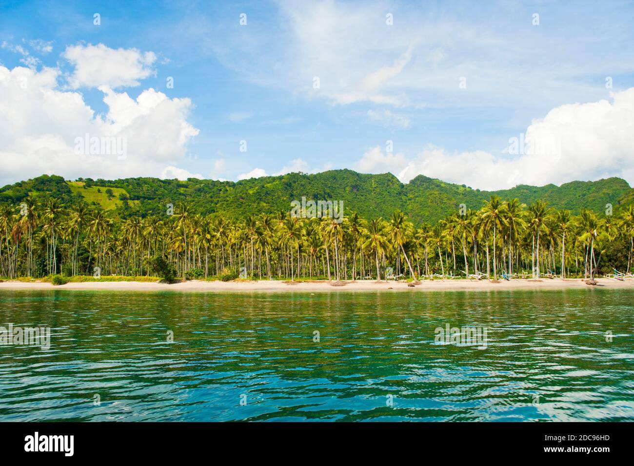 Palm Trees at Nippah Beach on Lombok, a Tropical Island in West Nusa ...