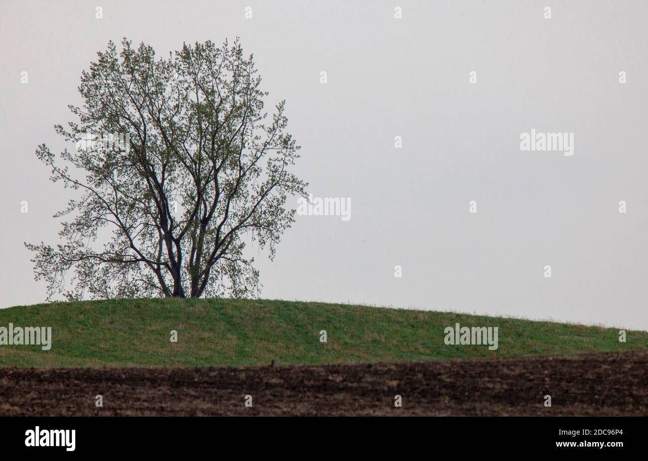 Lone prairie hi-res stock photography and images - Alamy