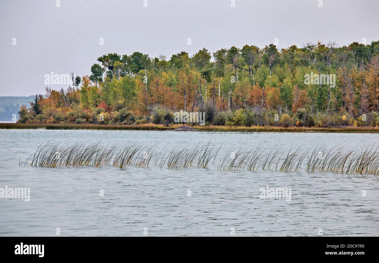 Northern saskatchewan hi-res stock photography and images - Alamy