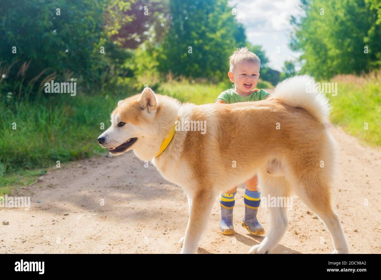 Little Boy and Akito Inu Dog on a Country Country Road Stock Photo - Alamy