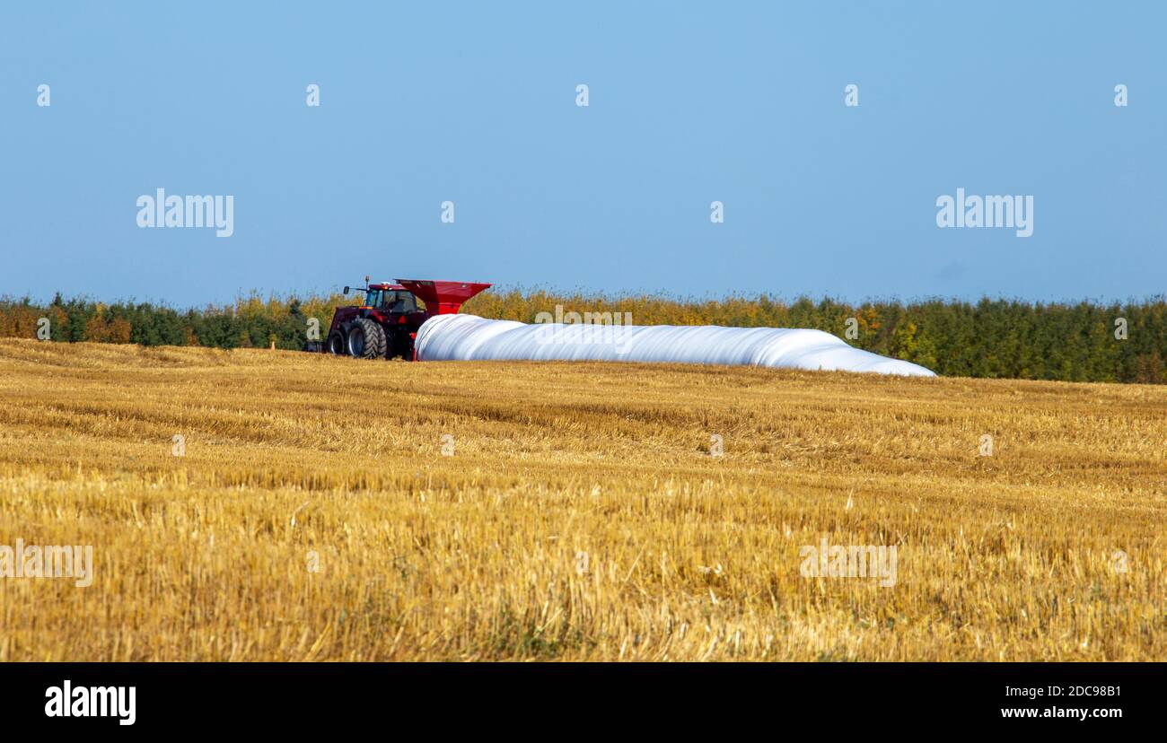 Filling container for grain hi-res stock photography and images - Alamy