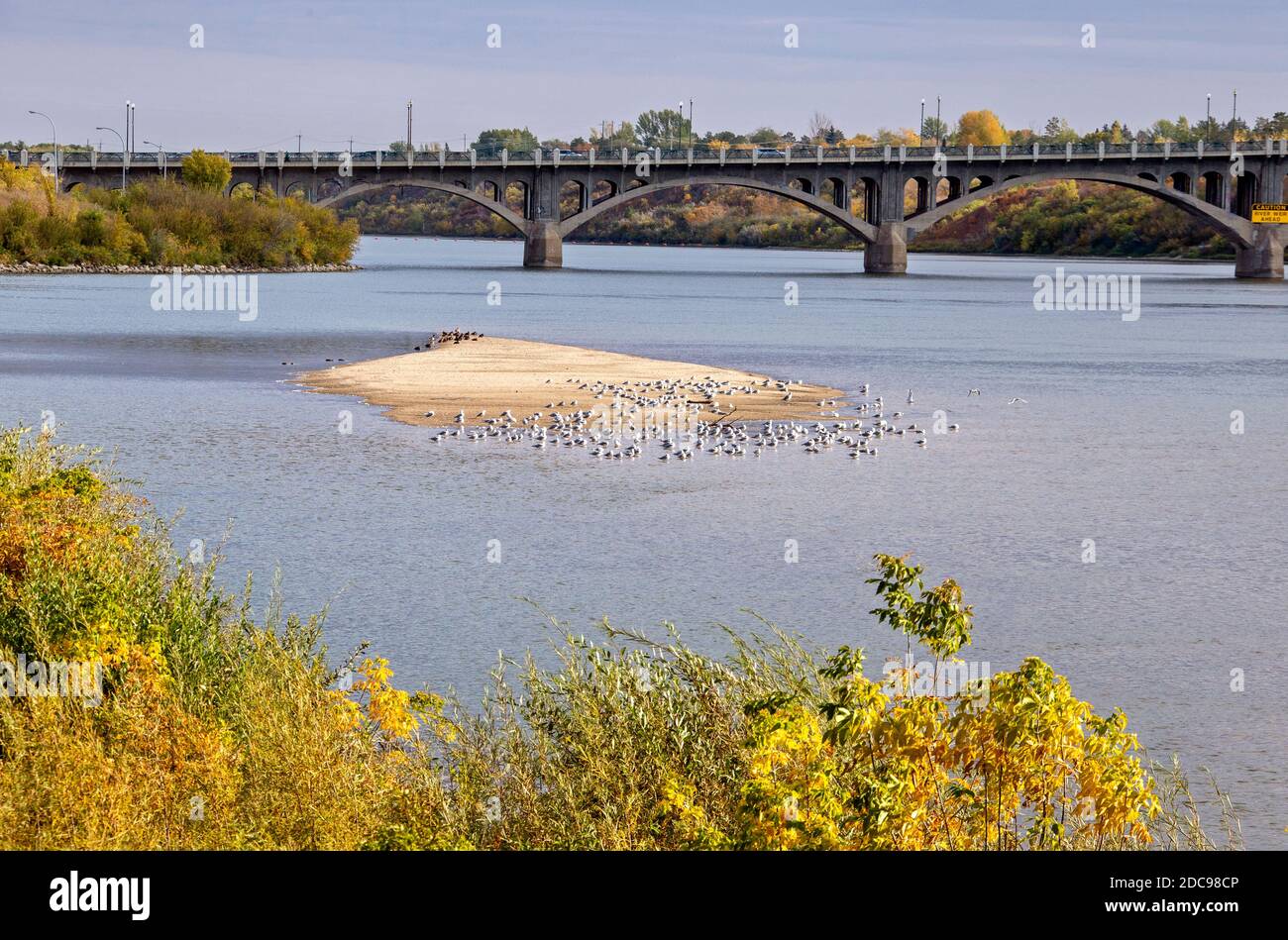 Saskatoon river hi-res stock photography and images - Alamy