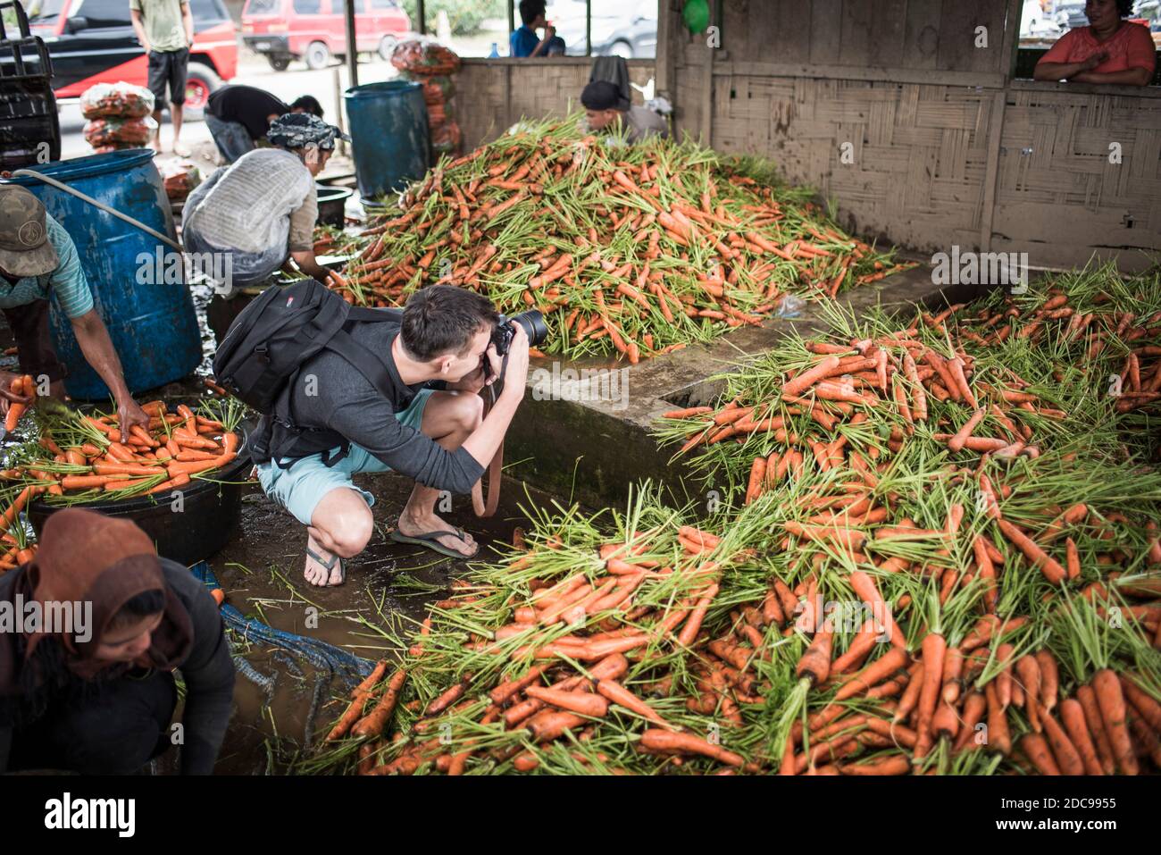 Carrot farm in Bukittinggi, West Sumatra, Indonesia, Asia Stock Photo ...